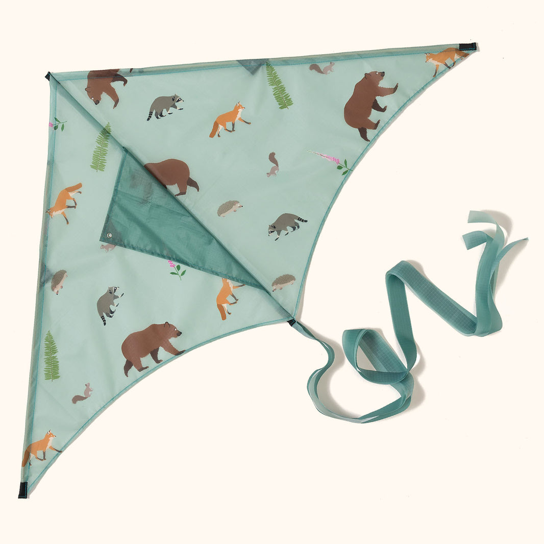 Lofty Kites - Eco friendly kites for kids